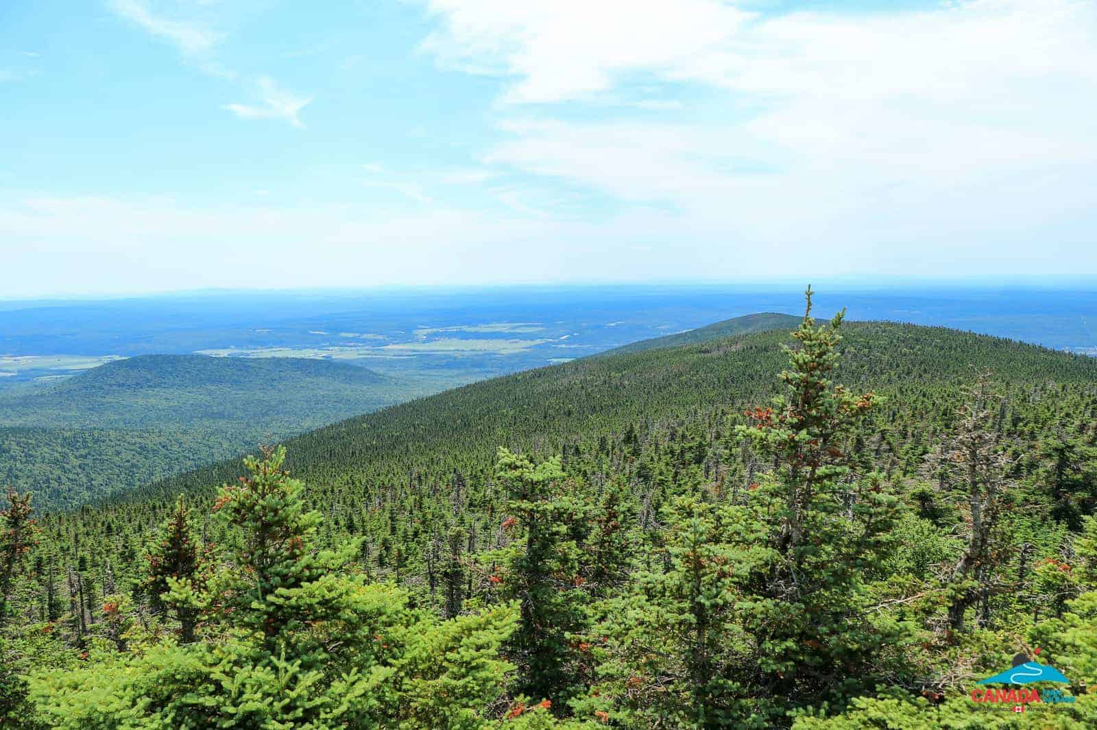 Mégantic Region - Canada Man / Woman